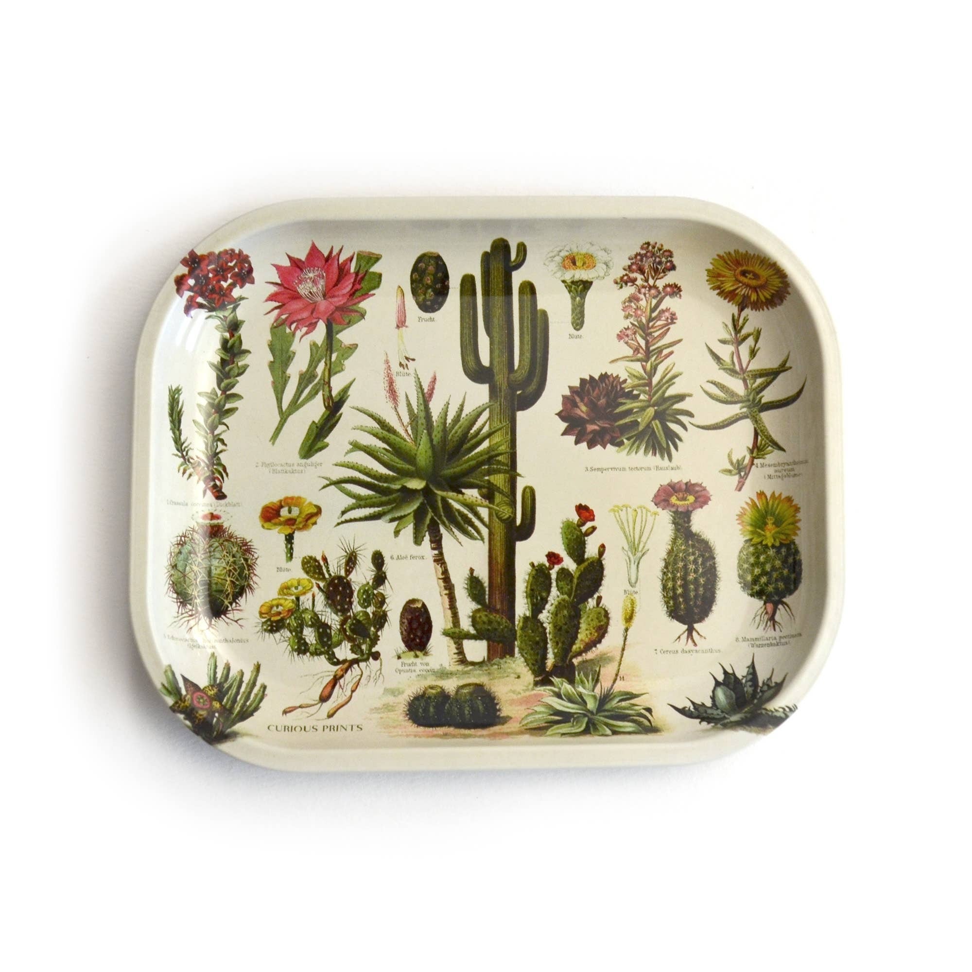 Small Metal Cactus Ritual Tray / Vintage Cacti Print | JoRetro Vintage ...
